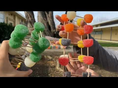 STEM SciFri Gumdrop Towers - YouTube
