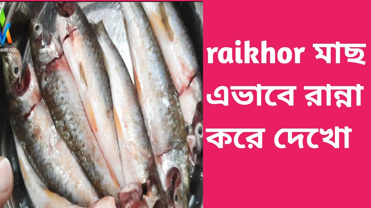 raikhor মাছ এভাবে রান্না করলে খুব ভালো লাগবে। #rajumampivlog - YouTube