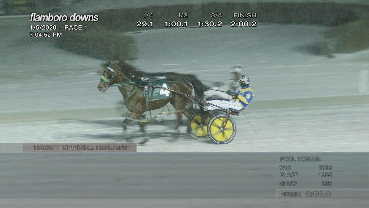 JAN 5,2020-RACE 1-FLAMBORO DOWNS - YouTube