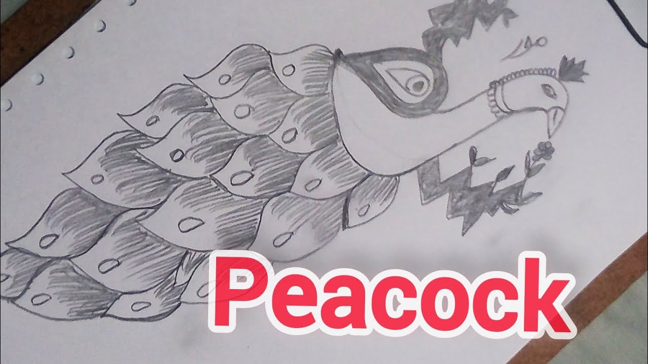 hand drawing of peacock |how to draw a peacock |#drawing #peacock # ...