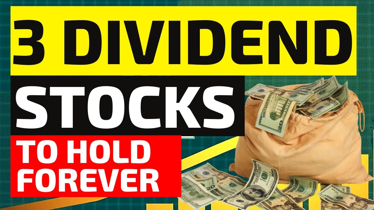3 Best Dividend Stocks To Buy in February 2023 | Dividend Investing ...