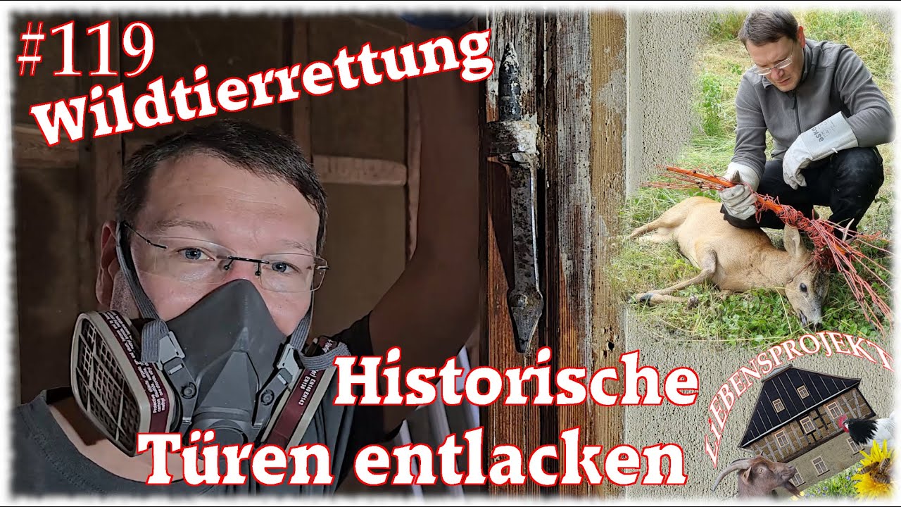 Historische Türen entlacken + Wildtierrettung - #119 Projekt ...