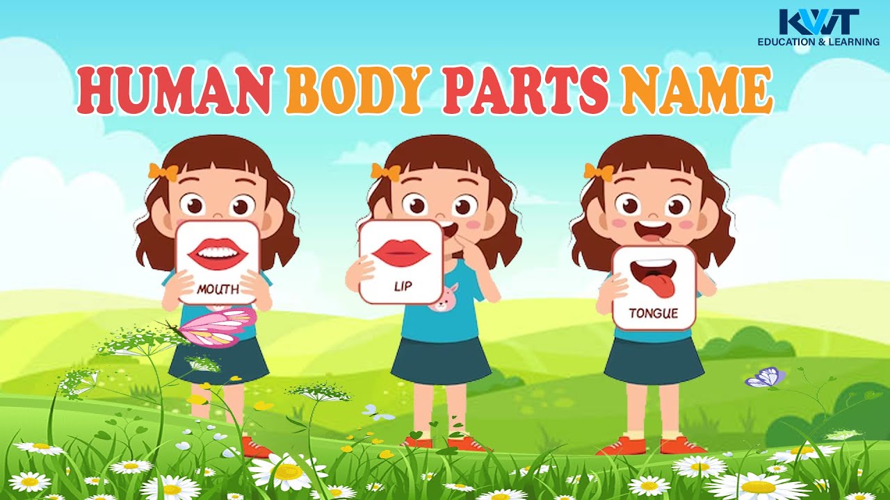 Learn Parts Of Body Name | Basic English Human Body Parts Learning ...
