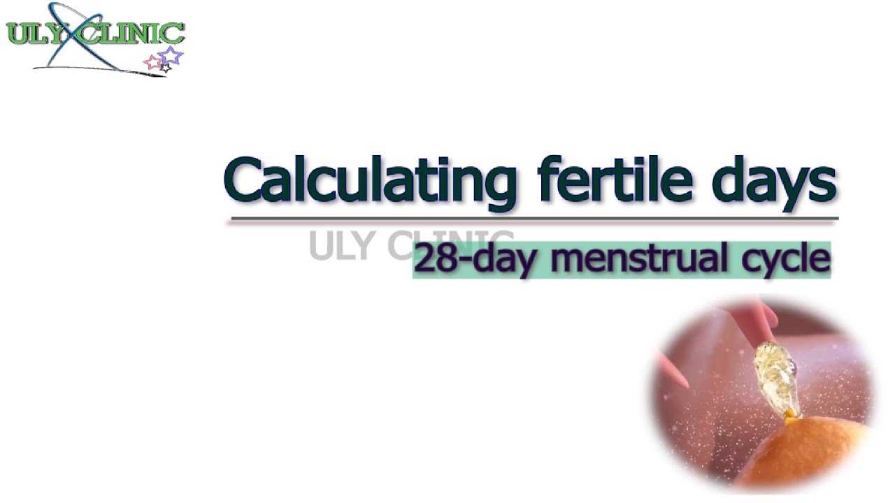 Fertile days for a 28-day menstrual cycle - YouTube