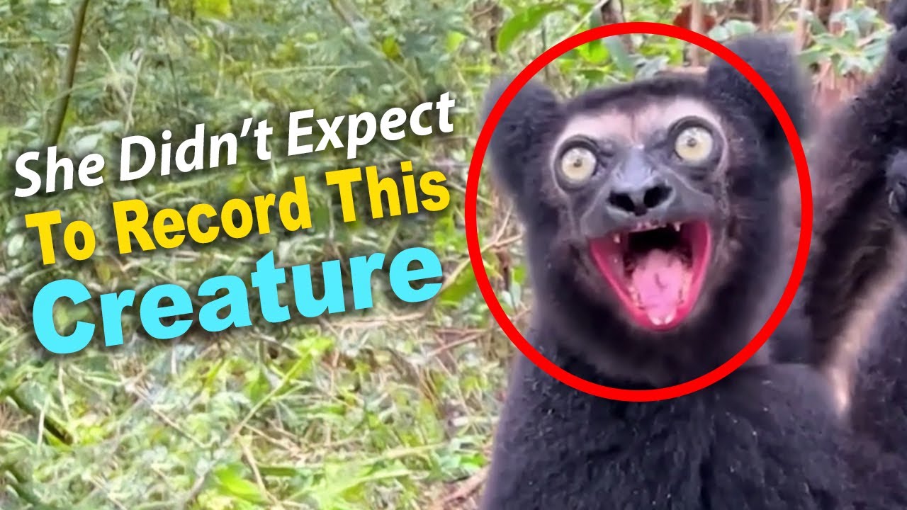 Mysterious Creatures in Real Life You Need to See - YouTube