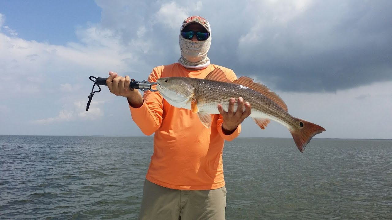 Red fish 27" Laguna Madre King Ranch Shoreline 9/19/14 - YouTube