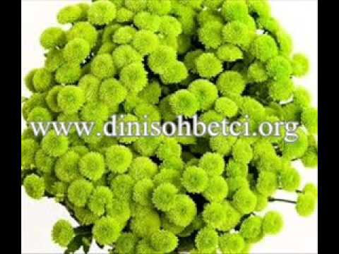 Aklım Beytullahta Kaldı