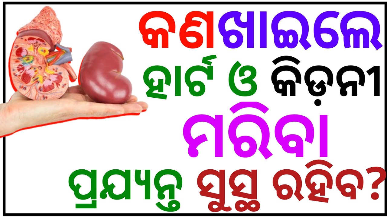 odia gk | odia top 10 gk | genaral knowledge question odia | odia gk ...