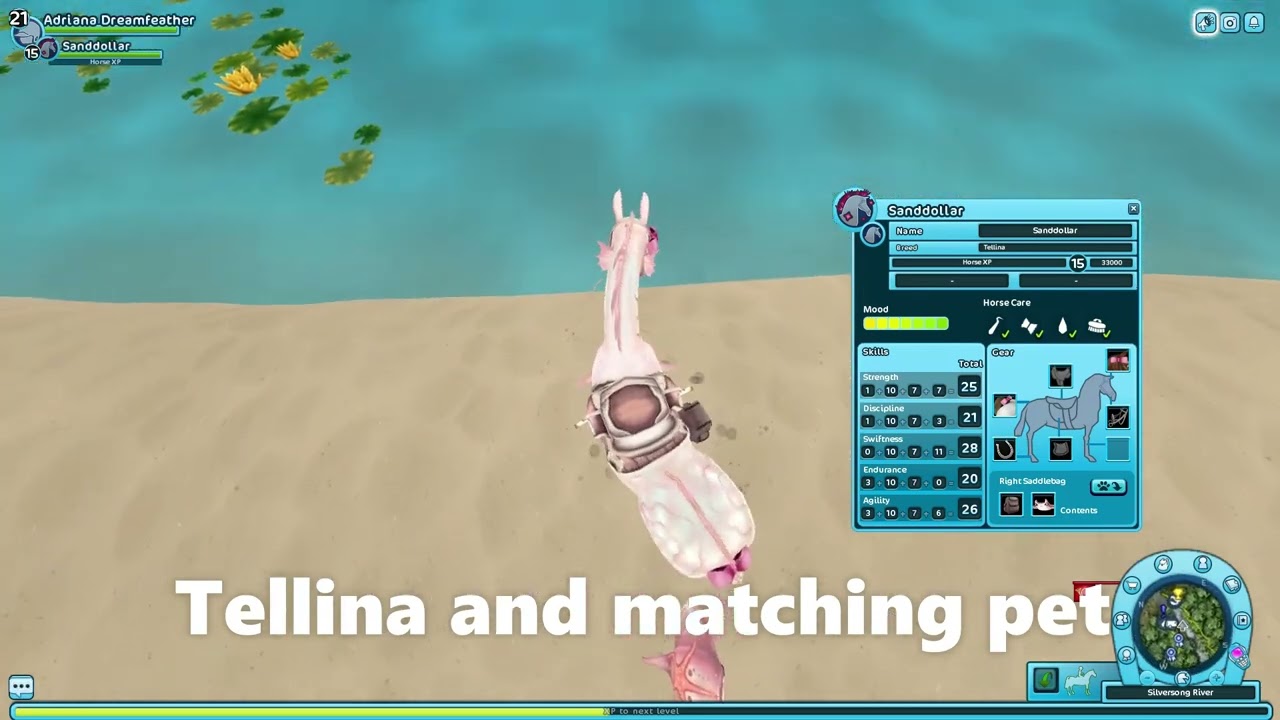 Kampos and Tellina with matching pets magic horses SSO - YouTube