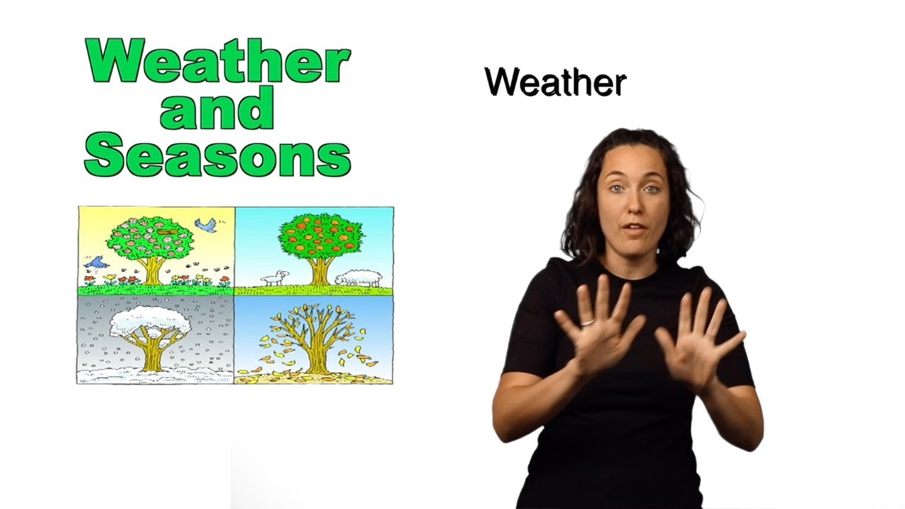 Kids Sign - Weather and Seasons - YouTube