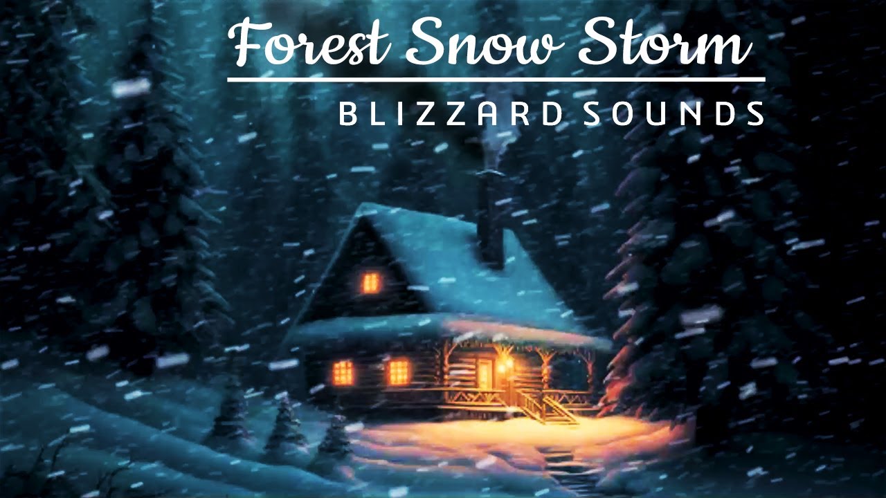 Heavy Blizzard Wind with Thick Swirls and Eerie Howl Through Trees ...