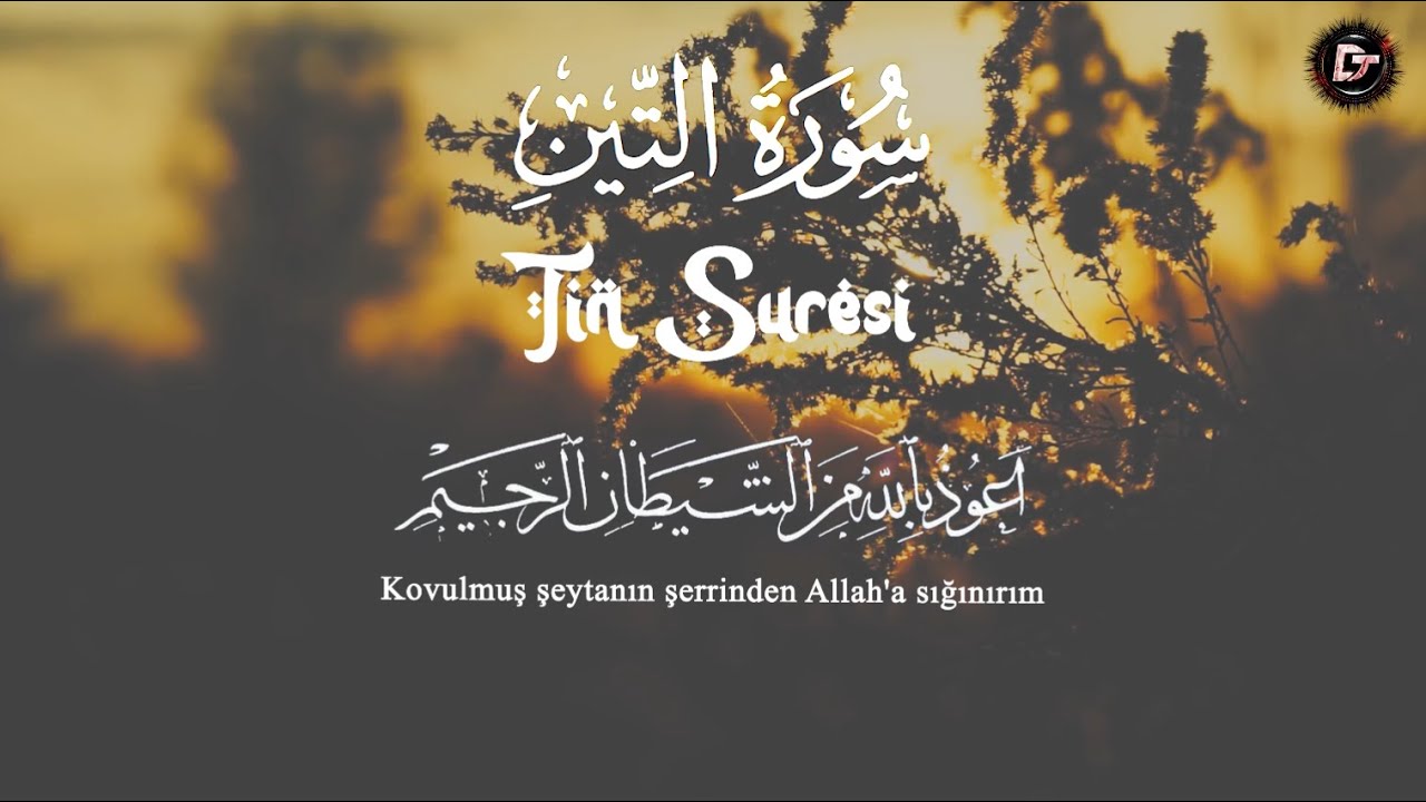 Tin Suresi & Surah At-Tin #kuran #quran #islam - YouTube