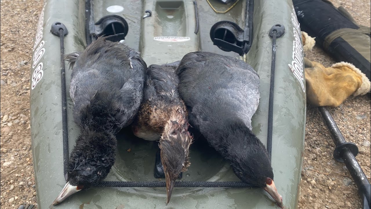 Solo KAYAK Duck Hunt - YouTube