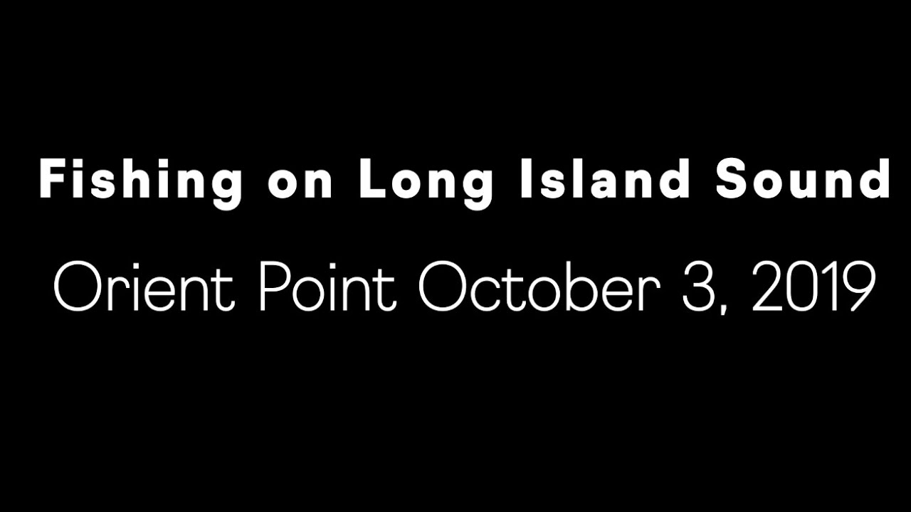 Point Orient Fishing Trip Bluefish and Striped Bass - YouTube