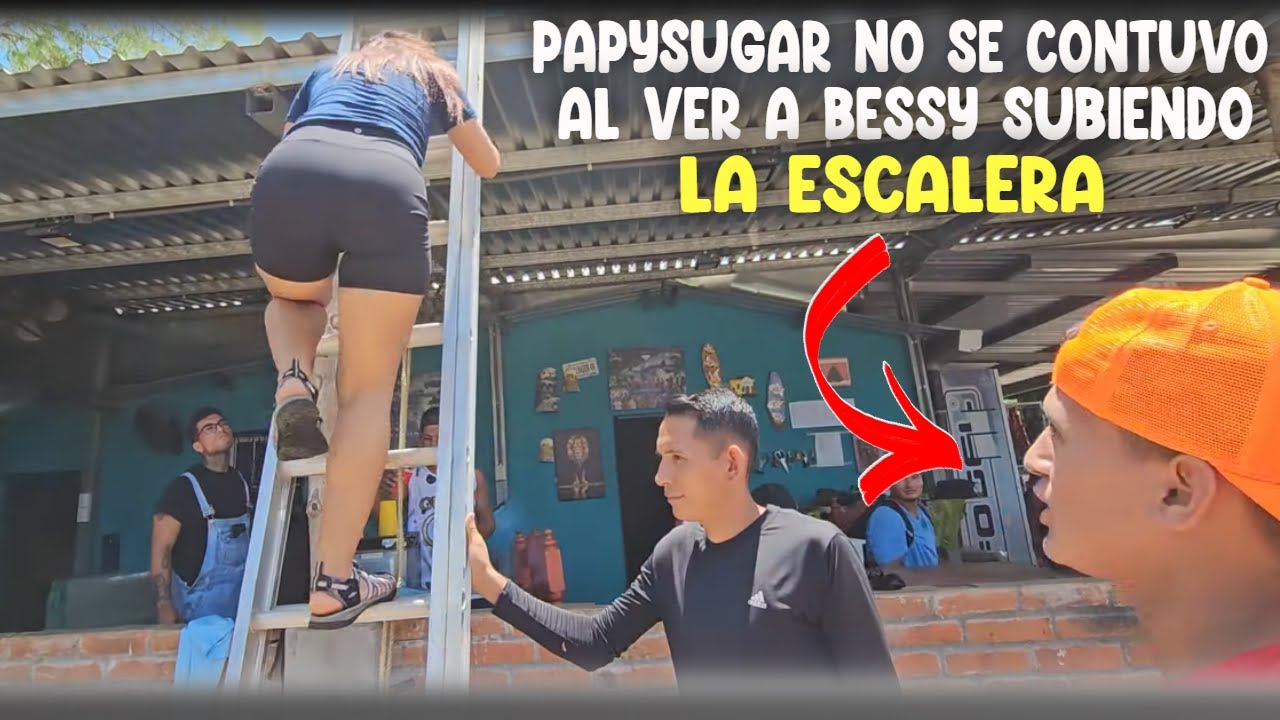 Chiclin cuenta que en su granja mataban 250 pollos al día. Exploramos ...