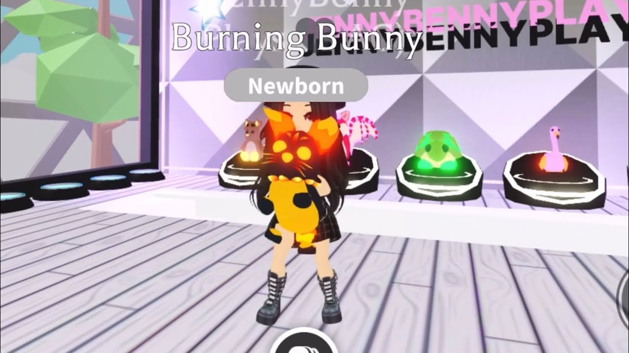 New Adopt Me! Fire Dimension Pets 🔥 - YouTube