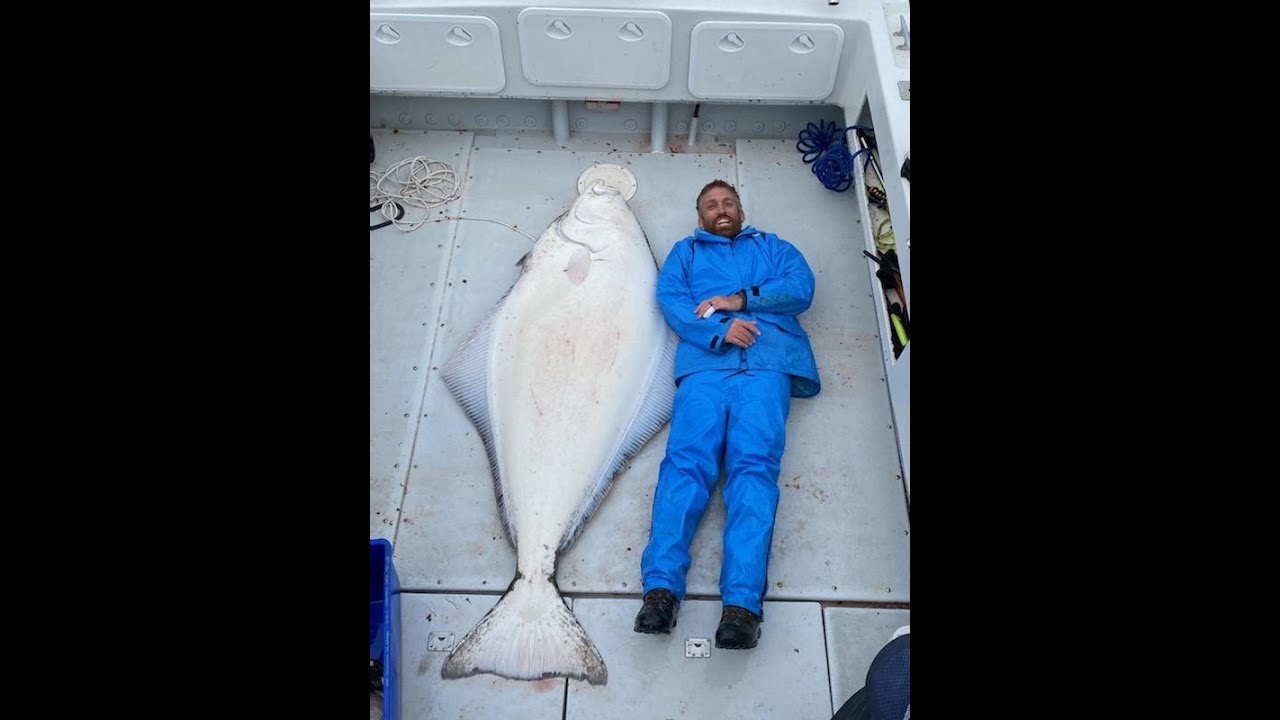 Giant Fish caught last summer in Alaska (Halibut) biggest! - YouTube