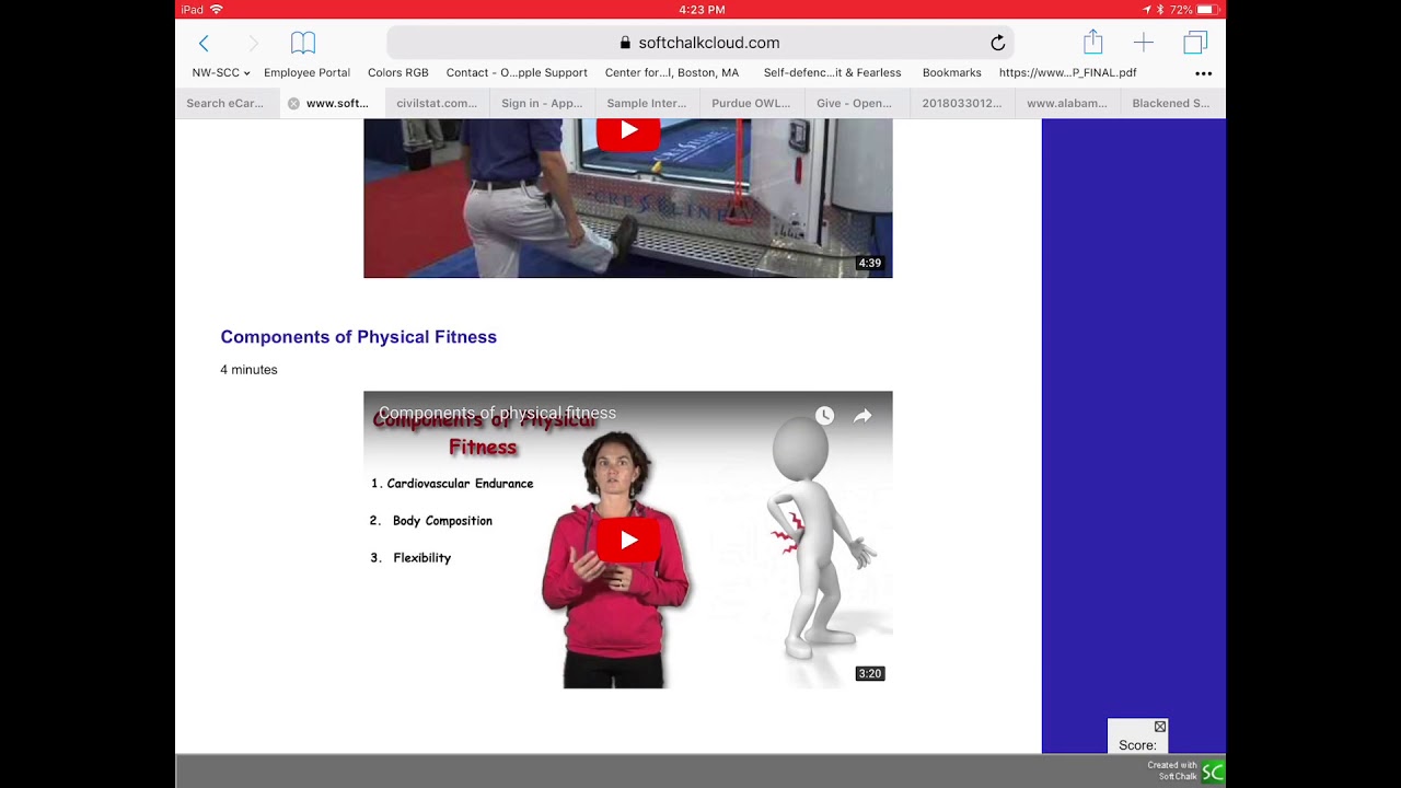 SoftChalk Lesson - YouTube
