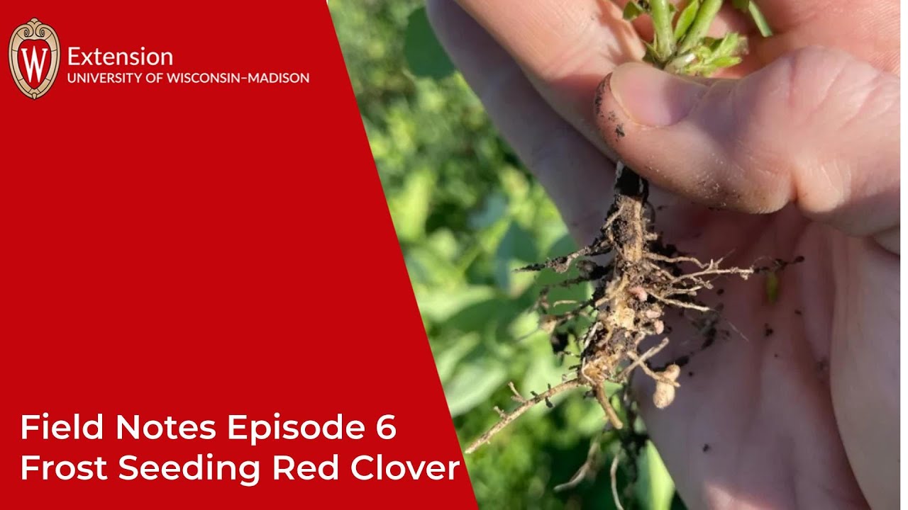 Field Notes Episode 6: Frost Seeding Red Clover - YouTube