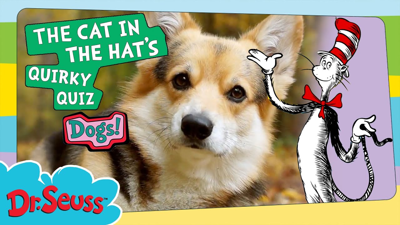 Full Episode: How Much Do You Know About Dogs? | Cat in the Hat's ...