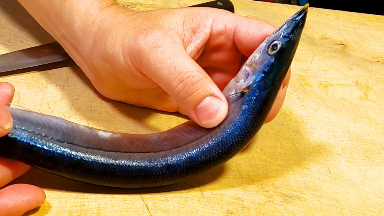 How to Fillet Pacific Saury & sushi - Japanese Seafood,Taiwan - YouTube