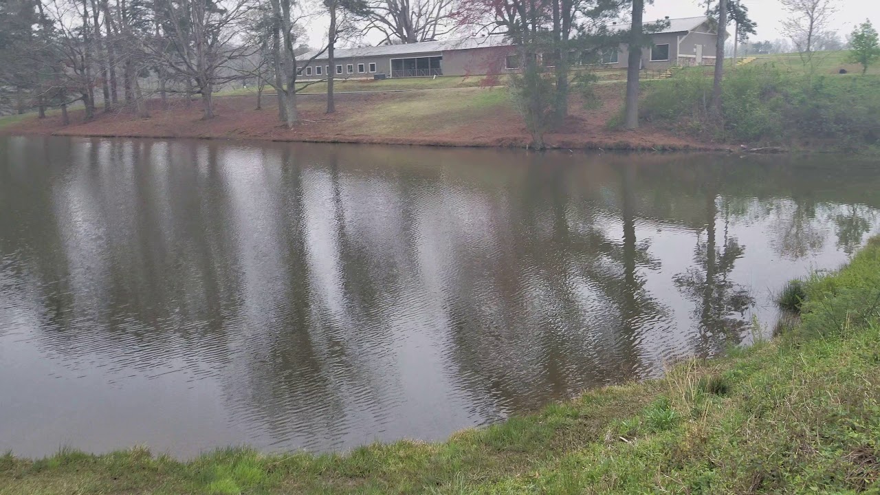 Understanding Ponds In Terms of Geography. - YouTube