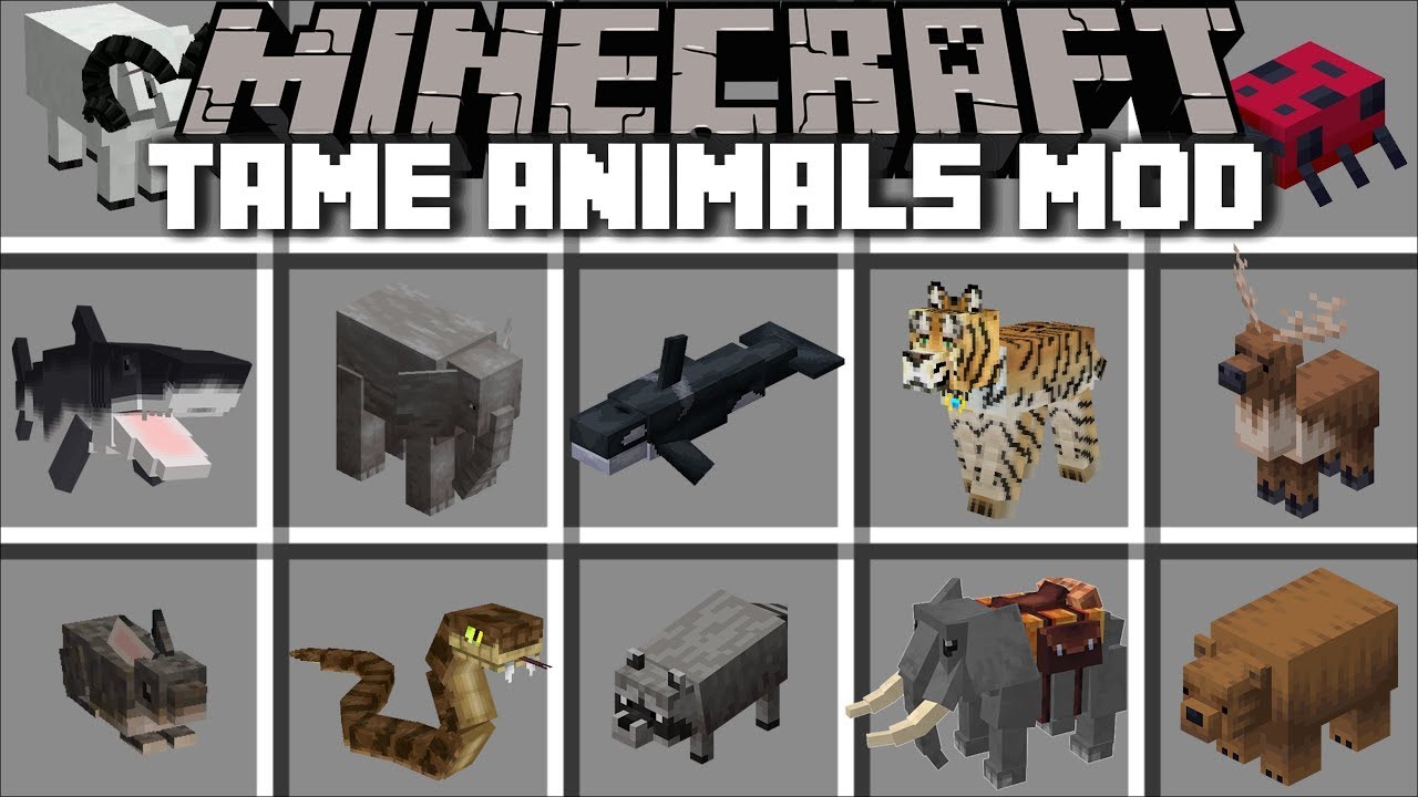 Minecraft TAME AND BREED BETTER ANIMALS MOD / SPAWN IN VILLAGE MORE ...
