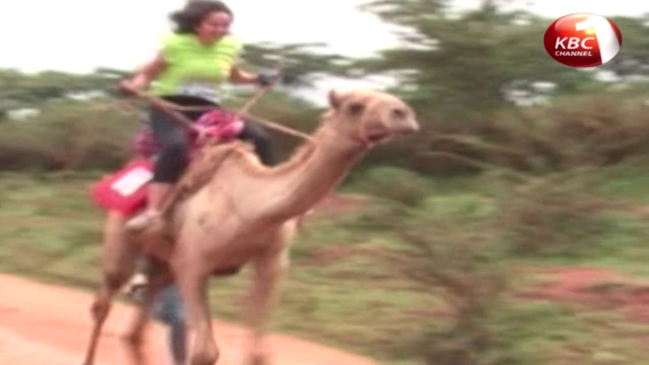 28th International Camel Derby held at Yare in Samburu County - YouTube
