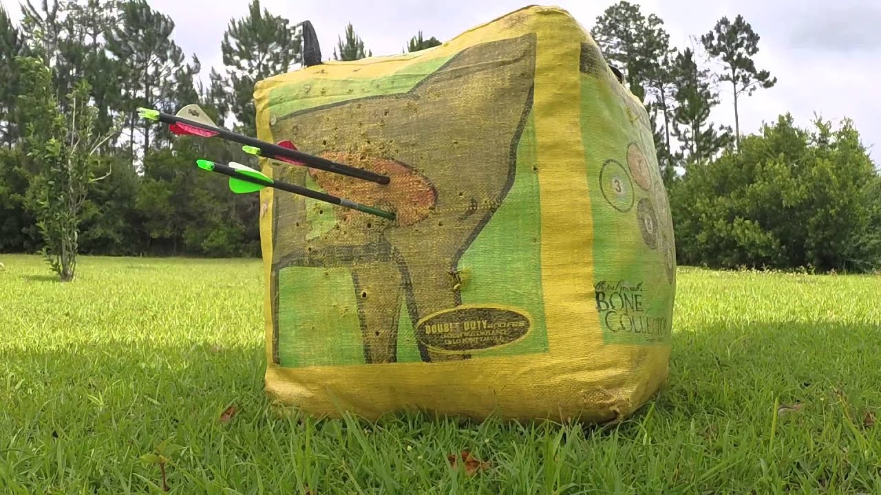 Backyard archery target shooting. - YouTube