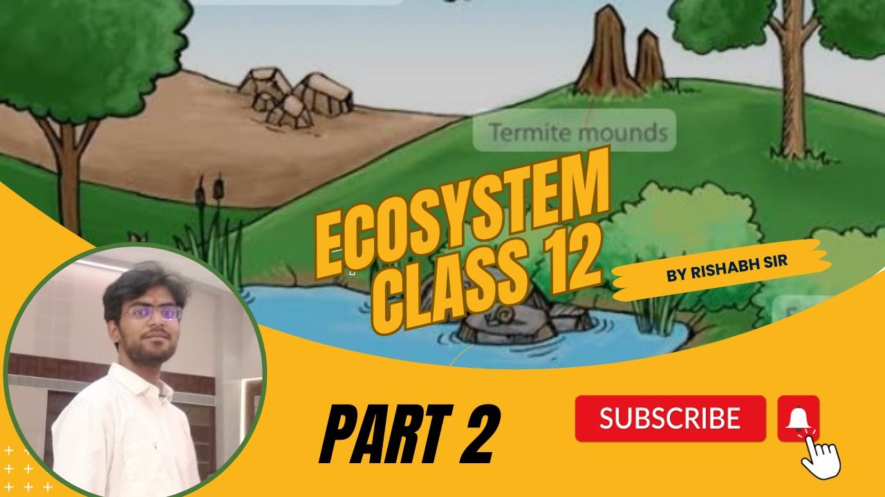 Ecosystem full chapter with concept in simple language | NCERT Class ...