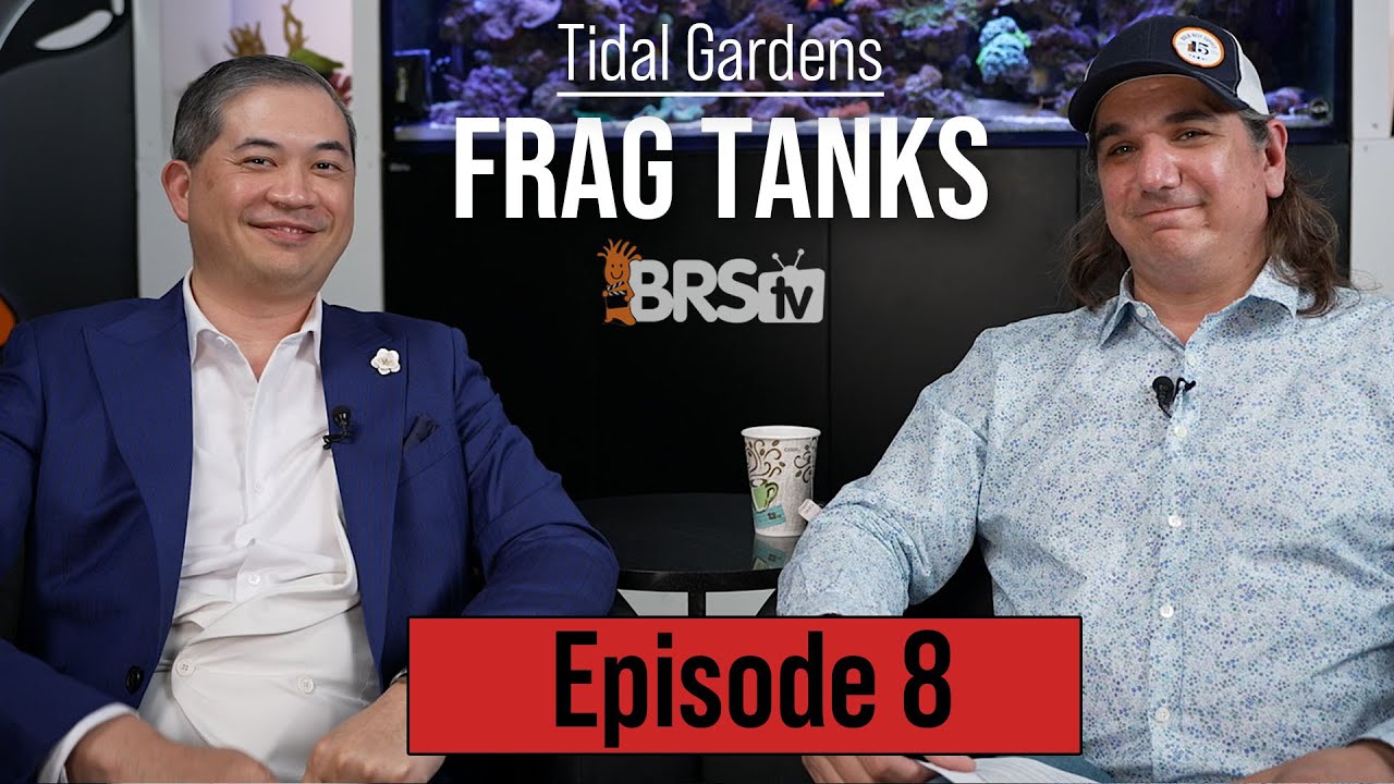 8 Ways to Build Your Frag Tank Like a PRO! - YouTube