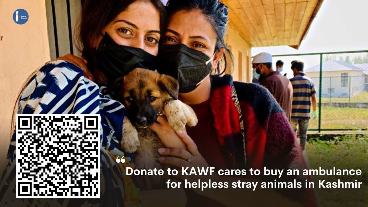 Donate to KAWF cares to buy an ambulance for helpless stray animals in ...