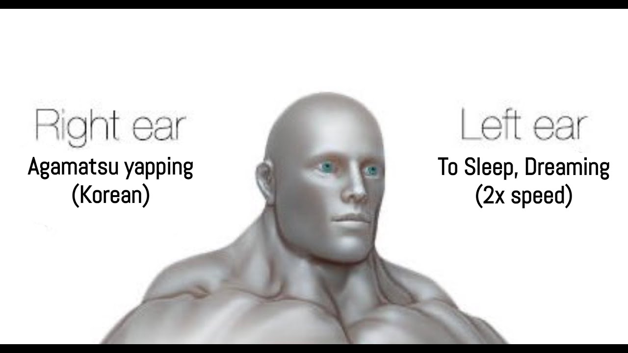 Right ear Agamatsu yapping (Korean) Left ear To Sleep, Dreaming (2x ...