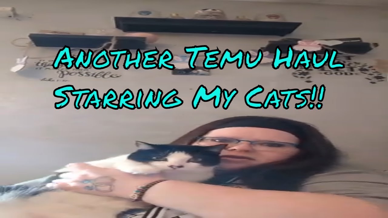 Big Temu Haul - 3 Orders in 1 Haul!!! Starring my kitty cats Sissy and ...