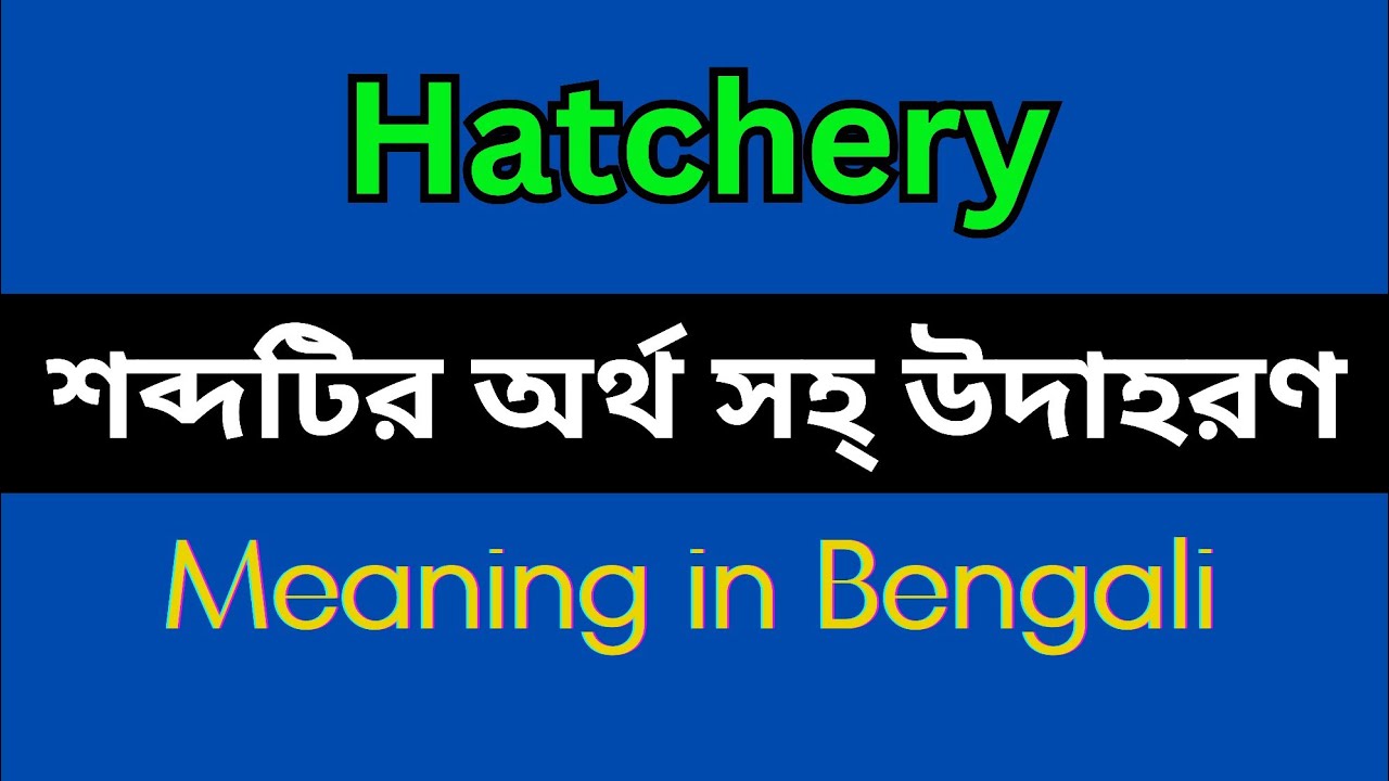 Hatchery Meaning in Bengali /Hatchery Mane ki - YouTube