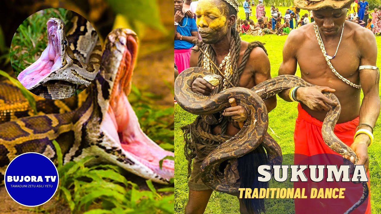 TANZANIA SUKUMA DANCE HATARI NGOMA YA WASUKUMA WAKICHEZA NA NYOKA FULL ...