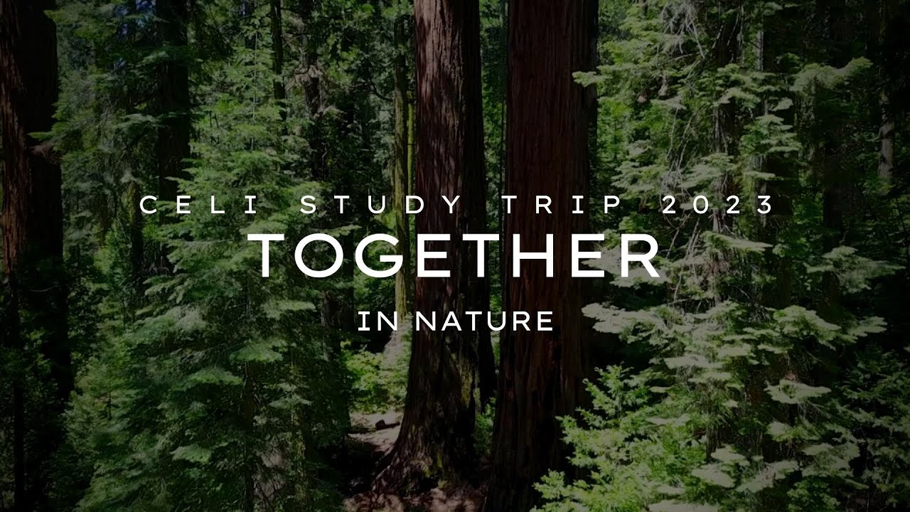 CELI/Advance Art Study Trip ( Short Vídeo) - YouTube