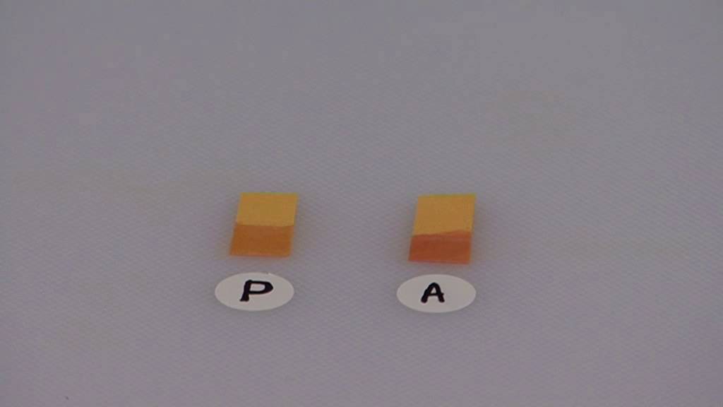Strip based test for detection of urea in milk developed at Dairy ...