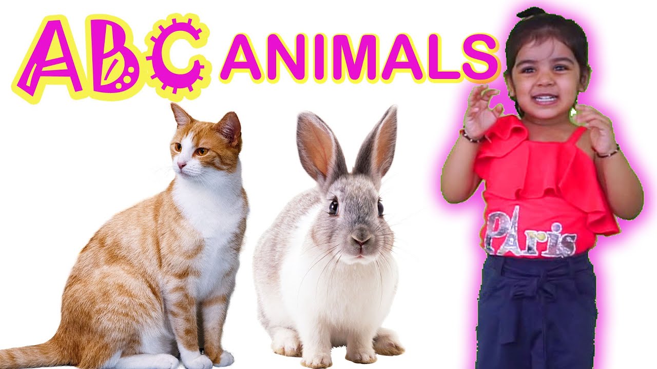 ABC Animals For Toddlers | Learning ABC with Animals Names for Children ...