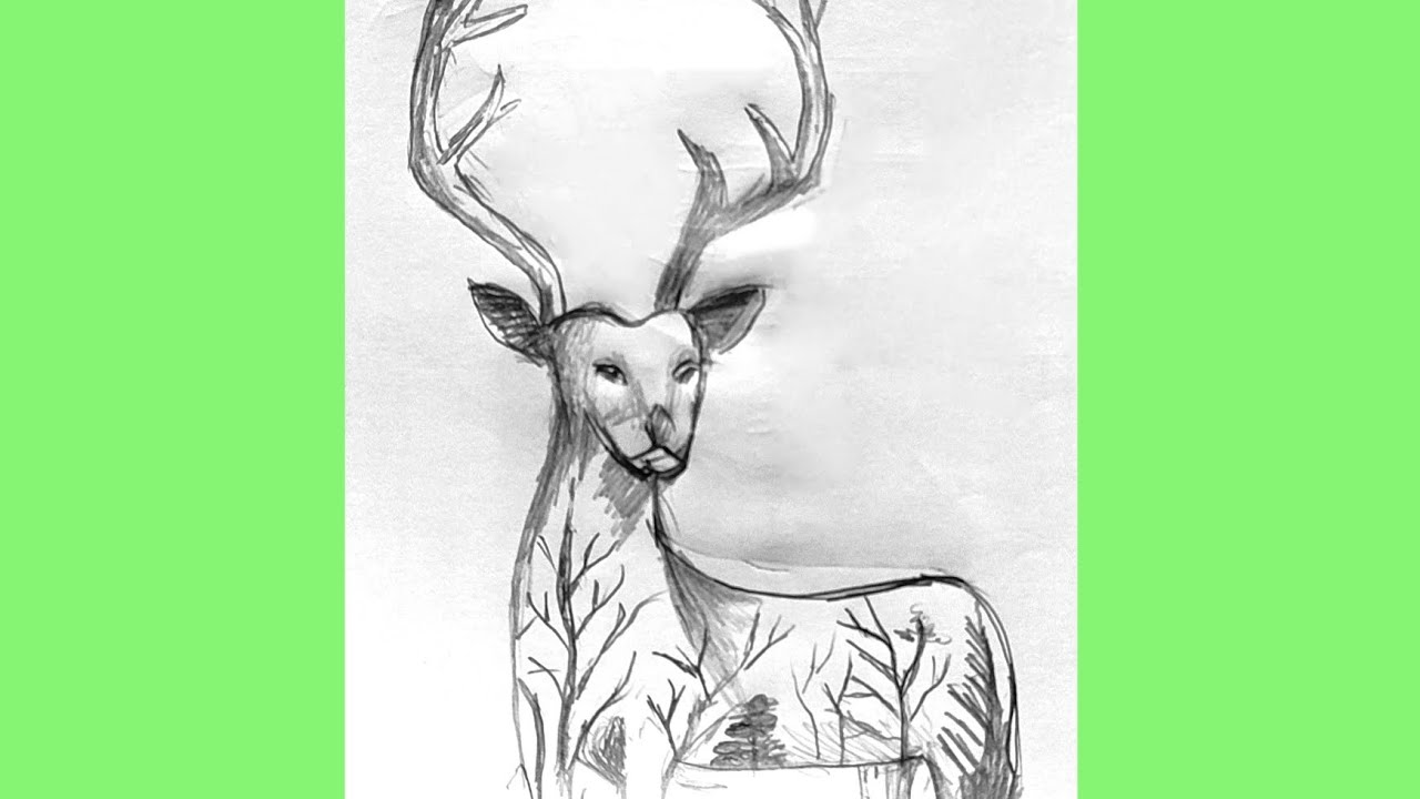 Dear drawing - YouTube