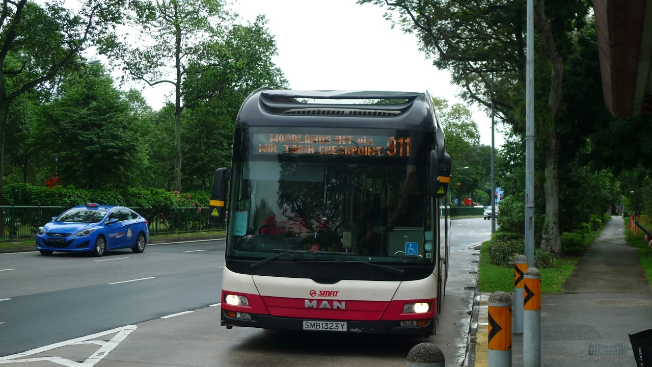 SMRT Bus Service 911, SMB1647M - YouTube