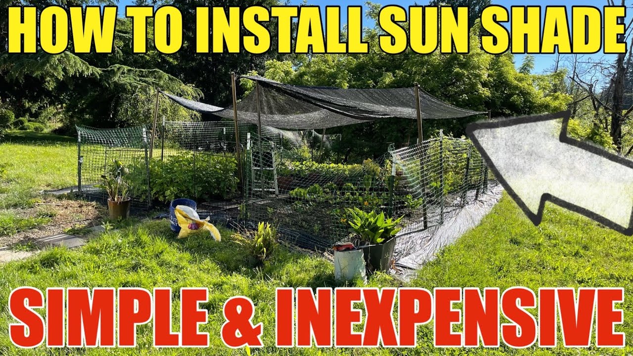 How To Install A Simple & Inexpensive Sun Shade For Fruits & Vegetable ...