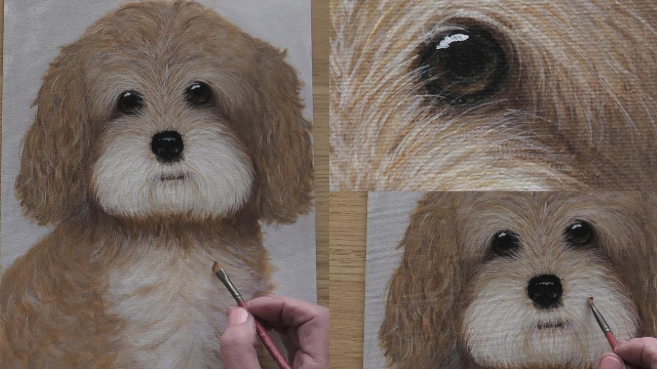 How to Paint a Cavoodle type Dog Acrylic Painting Tutorial - YouTube