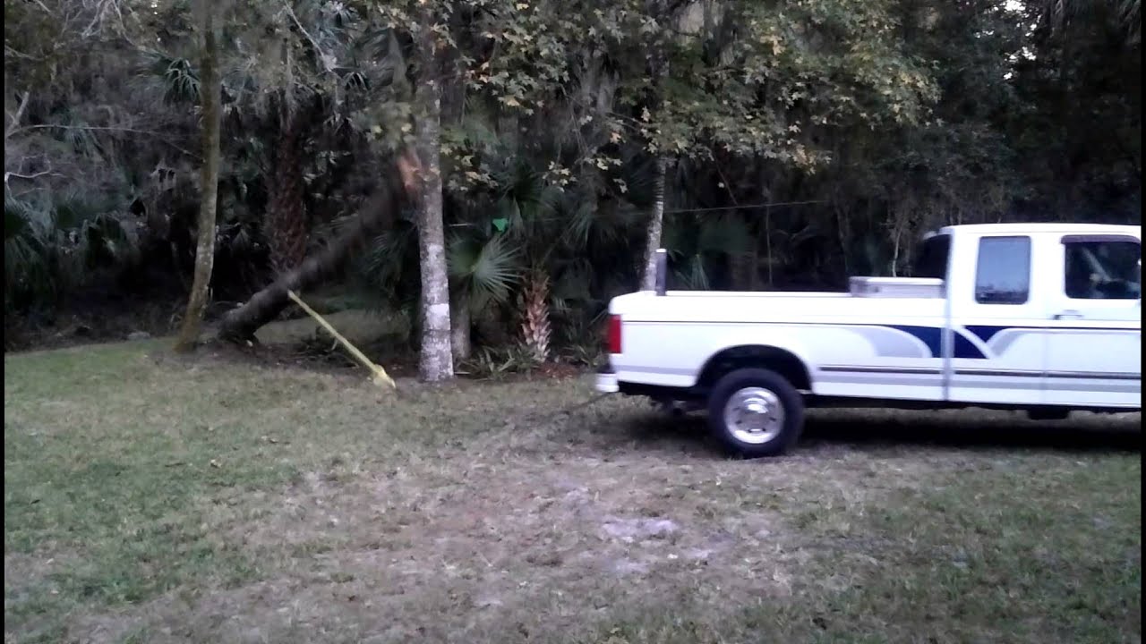 7.3 powerstroke pulling tree - YouTube
