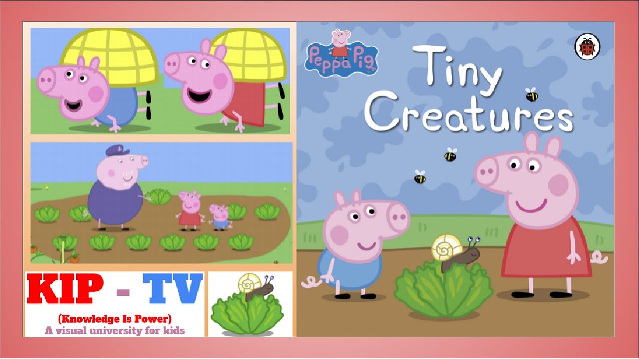 📚 Peppa Pig 🐽 - Tiny Creatures 🐛 | Kids Books Read Aloud | KIP TV | #peppa - YouTube