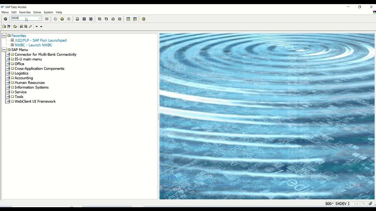 SAP ABAP BDC - Create Function Module Through BDC Recording Part 1 ...