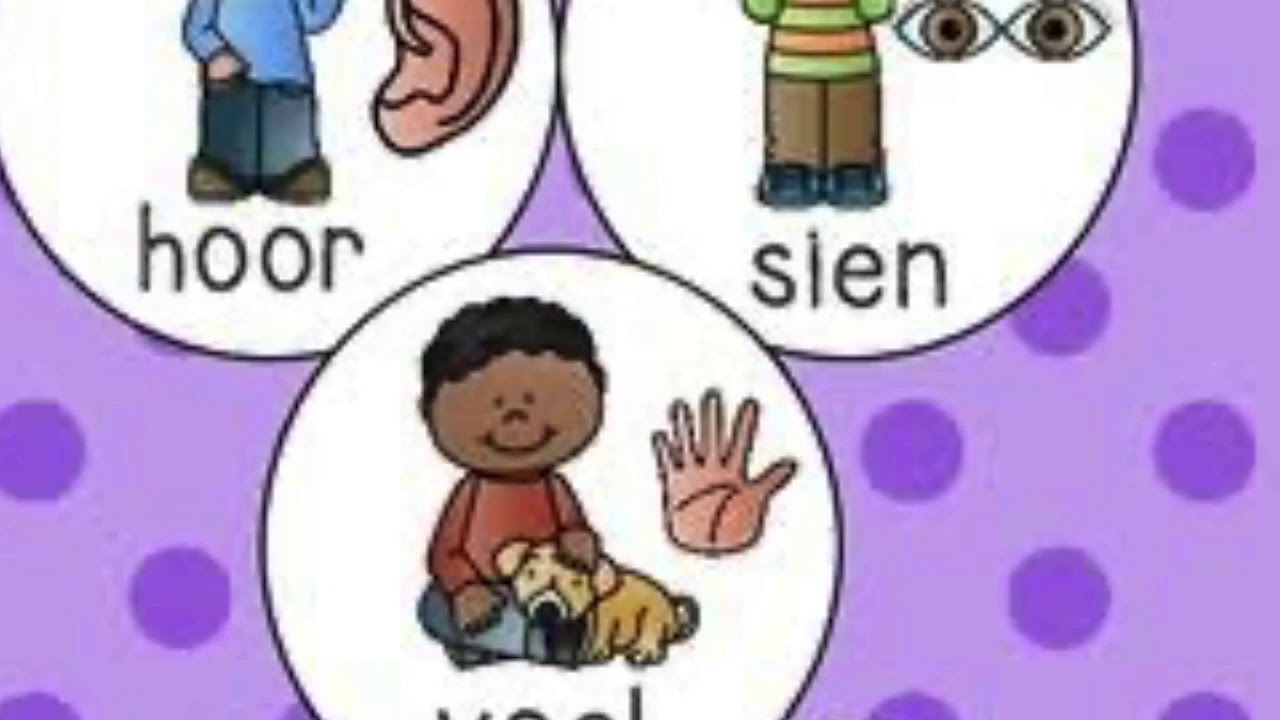 Sintuie Tema video - YouTube