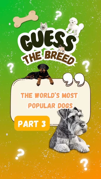 Can You Guess the Dog Breed? 🐶 Fun & Fast Quiz for Dog Lovers! # ...