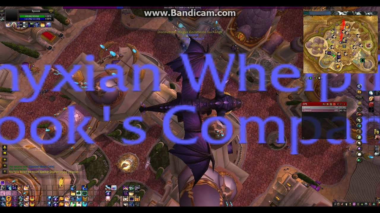 Spectral Gryphon Mount - Shadow Form - YouTube