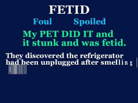 fetid - YouTube